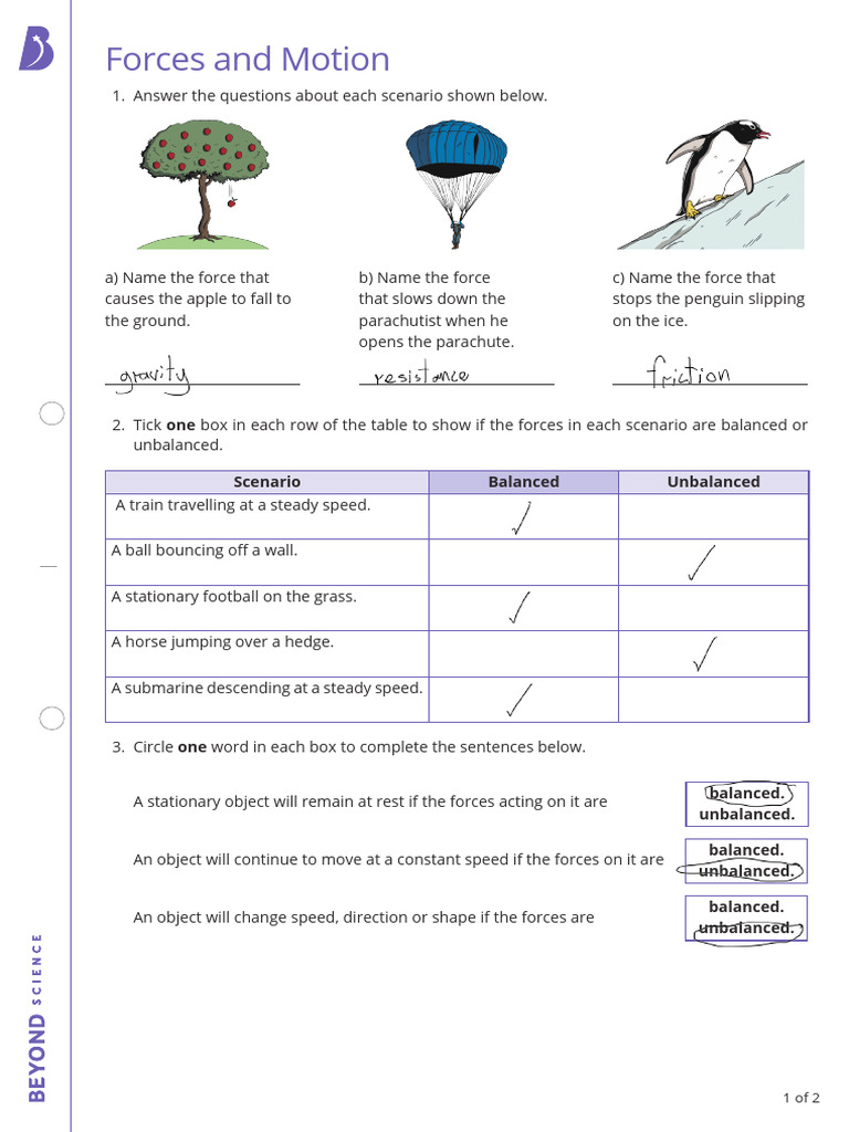 Forces and Motion Activities for KS3 | PDF | Force | Acceleration