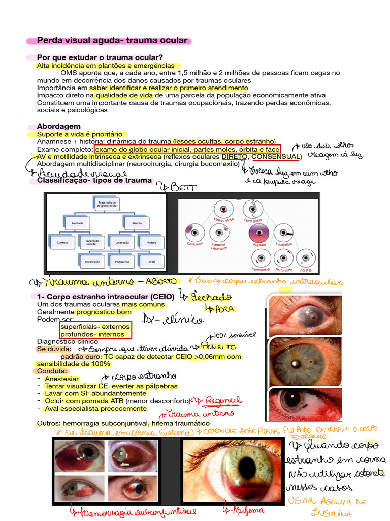 Aula 25 - Perda Visual Aguda - Trauma Ocular | PDF | Olho | Sistema visual