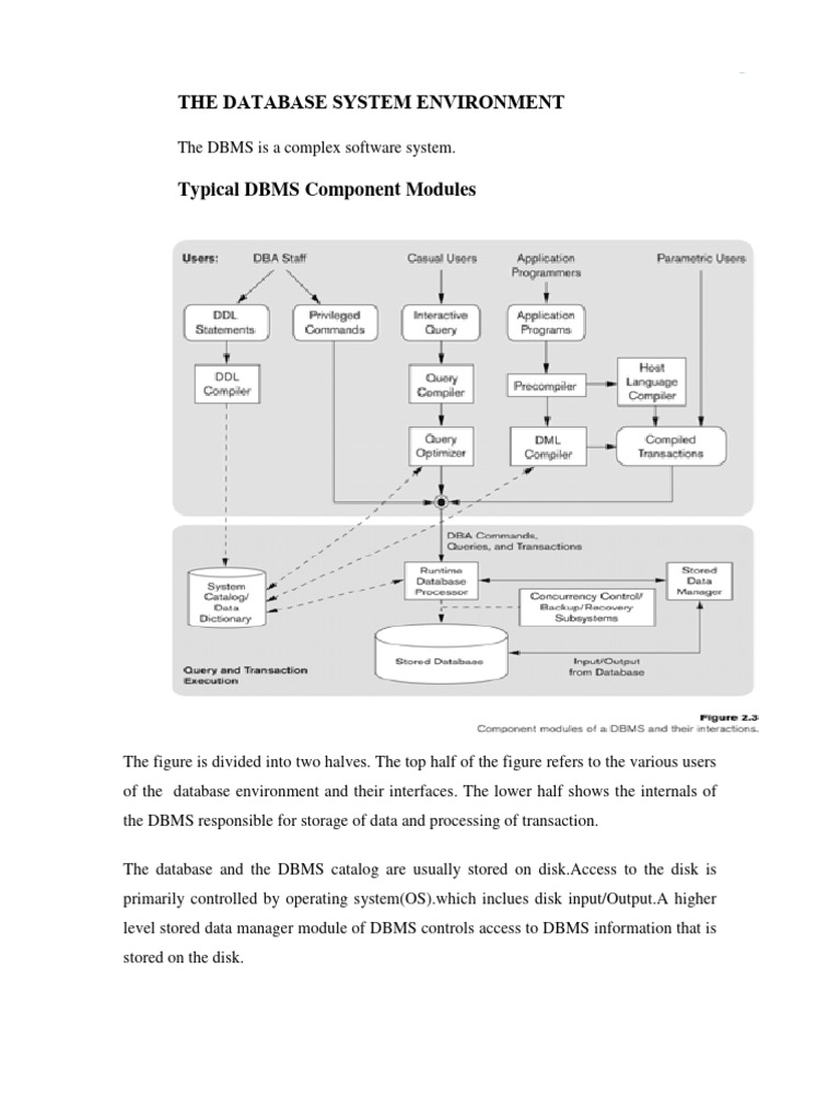 The Database System Environment | PDF