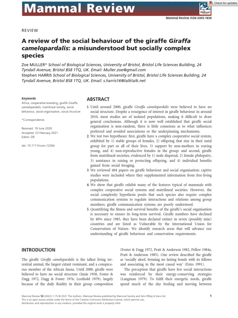 Mammal Review 2021 Muller A Review Of The Social Behaviour Of The