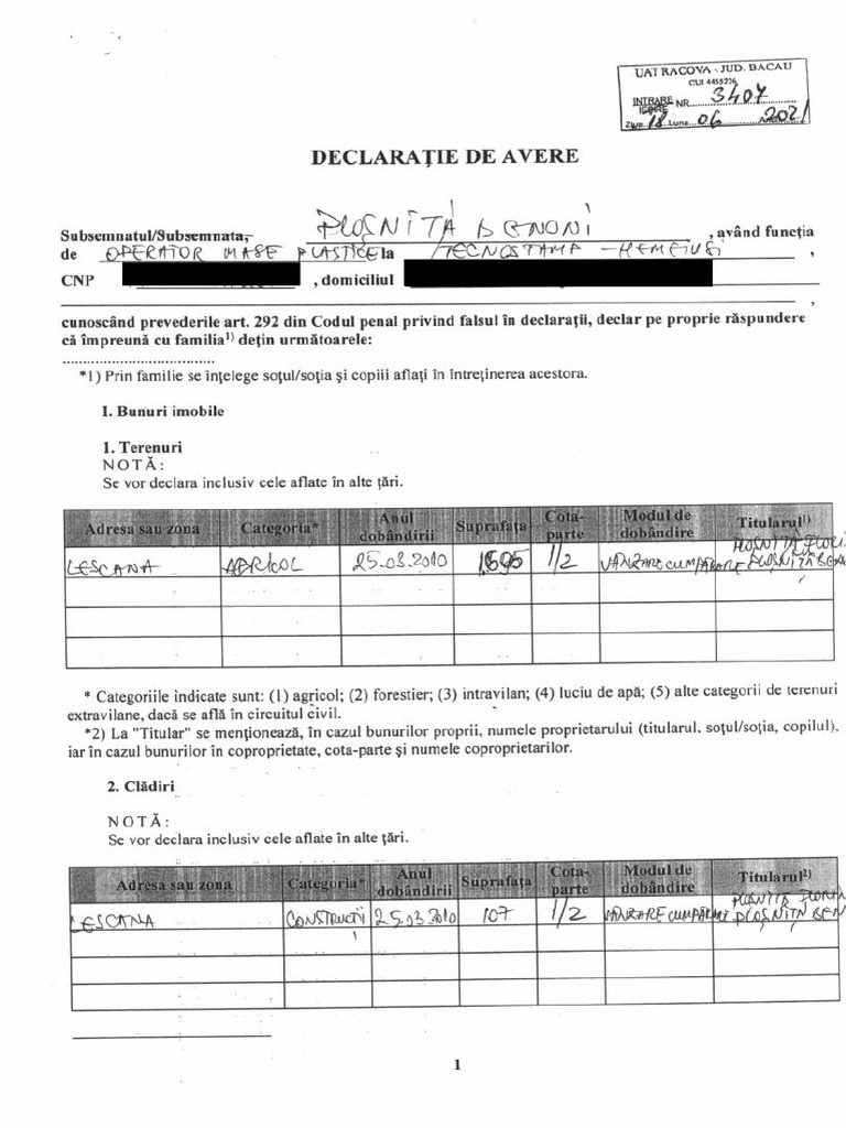 Declaratii Avere Interese Plosnita Benoni | PDF