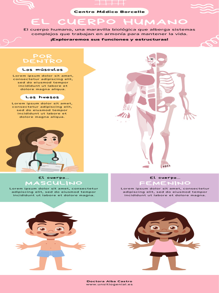 Estructura y Funciones del Cuerpo Humano | PDF