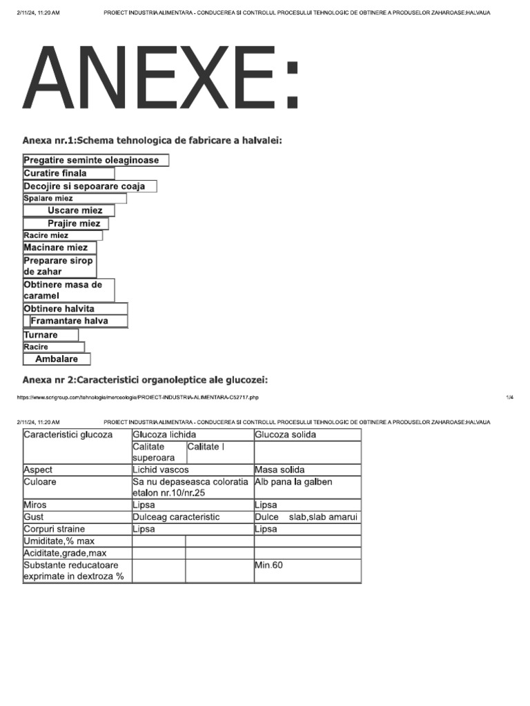 HALVA Scrigroup Anexe | PDF