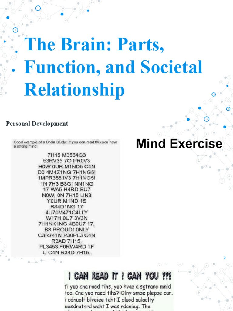 The Brain | PDF | Cerebrum | Brain