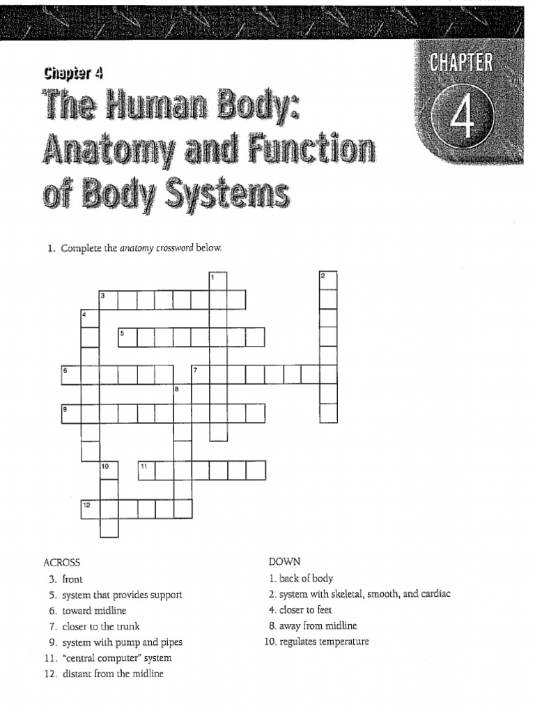 Anatomy Extra Tasks | PDF