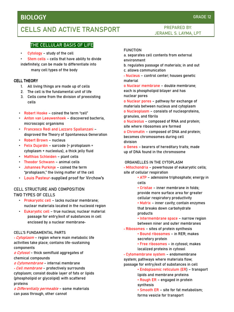 Grade 12 Biology: Cells & Transport | PDF | Cell (Biology ...