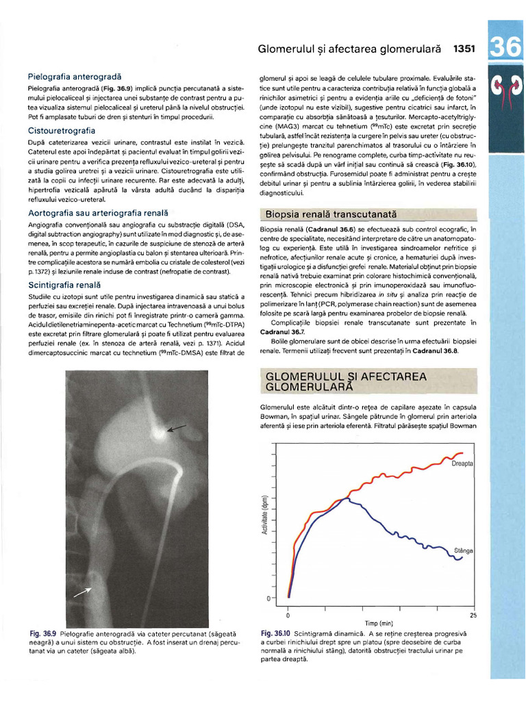 01.36 Tulburari Renale | PDF