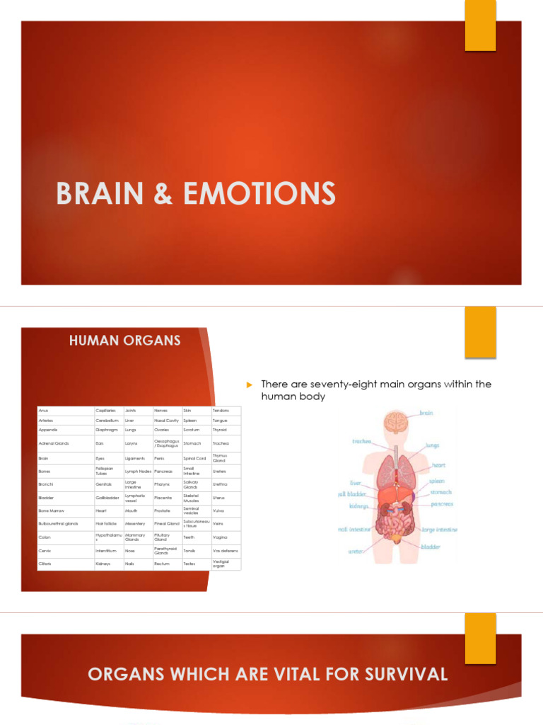 Brain and Emotion Slides | PDF | Emotions | Parietal Lobe