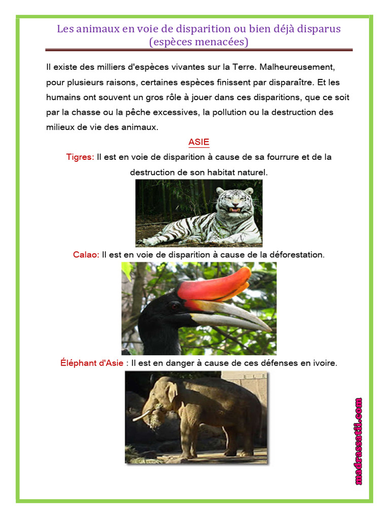 Les Animaux en Voie de Disparition Ou Bien Déjà Disparus (Espèces ...
