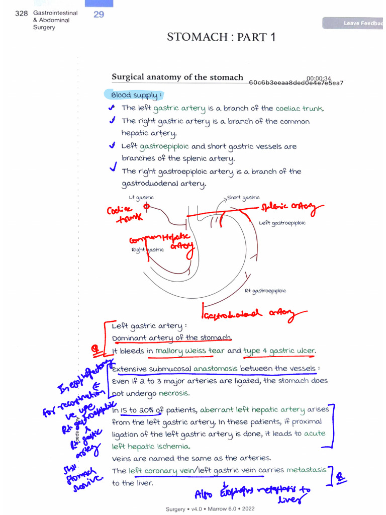 Surgery E6 @marrow - Edition | PDF