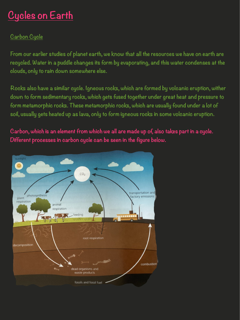 Cycles On Earth | PDF | Decomposition | Photosynthesis