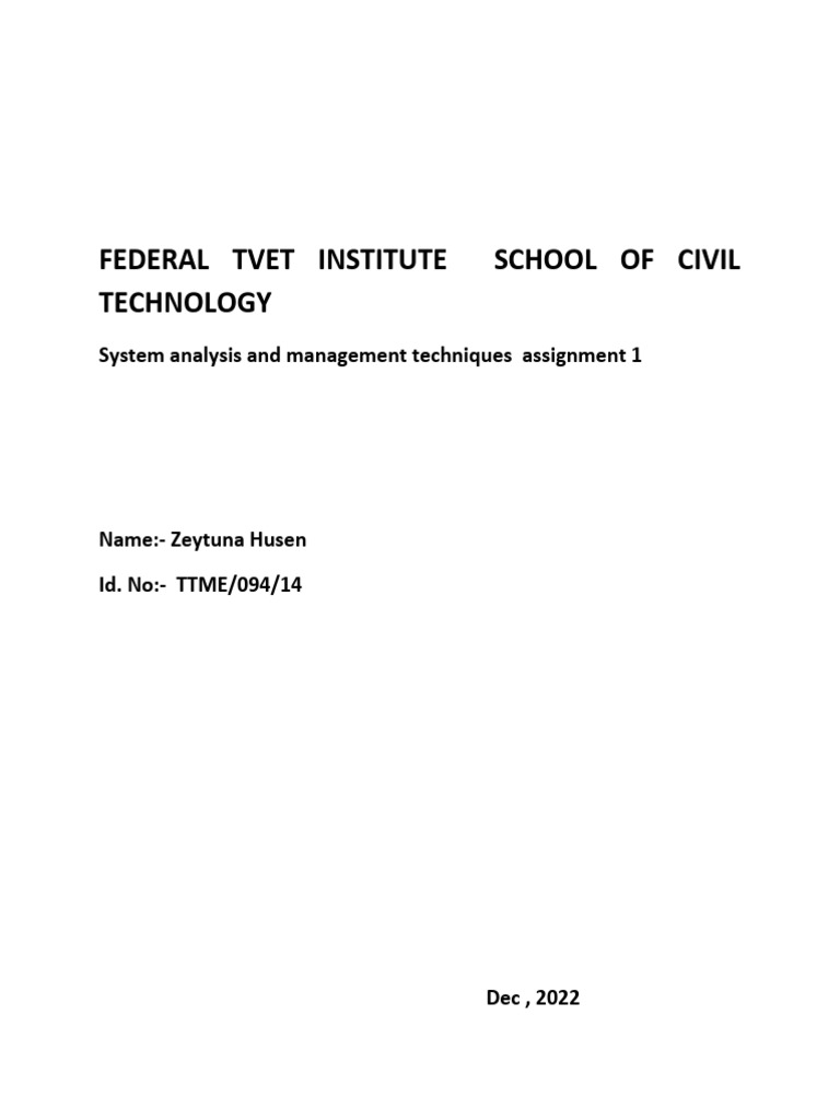 System Analysis Assignment 1 | PDF | Intelligence Analysis | Interview