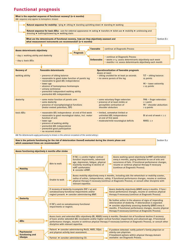 Stroke Recovery Functional Prognosis Guide | PDF | Stroke | Physical ...