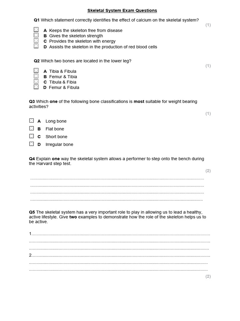 Student Skeletal System Exam Questions | PDF | Skeleton | Bone