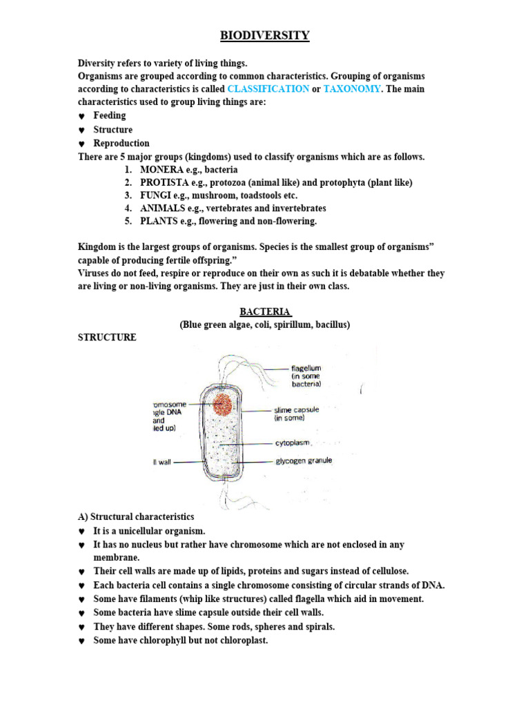 1 Biodiversity | PDF | Bacteria | Virus