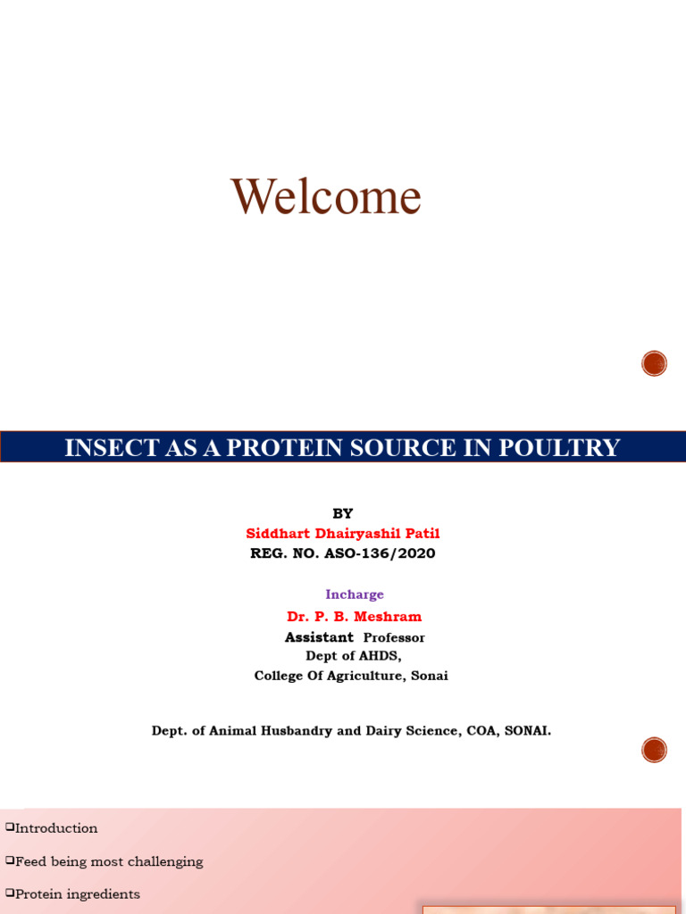 Insect As A Protein Source in Poultry | PDF | Insects | Poultry