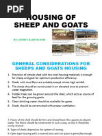 Modern Slaughter House Layout | PDF | Slaughterhouse | Animal Slaughter