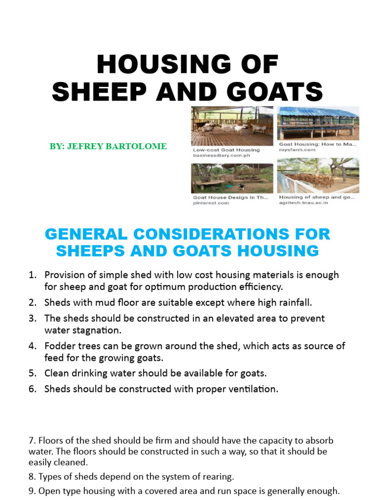 Housing of Sheep and Goats | PDF | Sheep | Goat