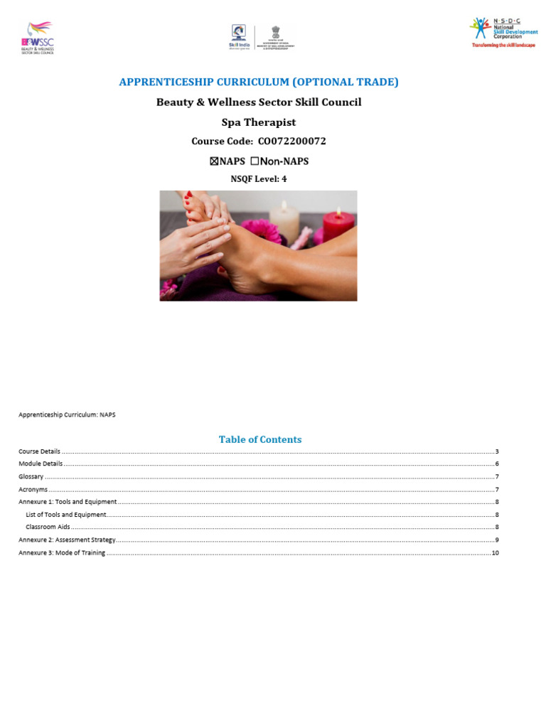 Spa-Therapist OT Curriculum v2 | PDF | Massage | Disability
