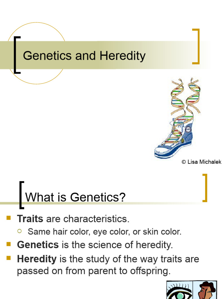 Genetics and Heredity | Download Free PDF | Dominance (Genetics) | Genetics