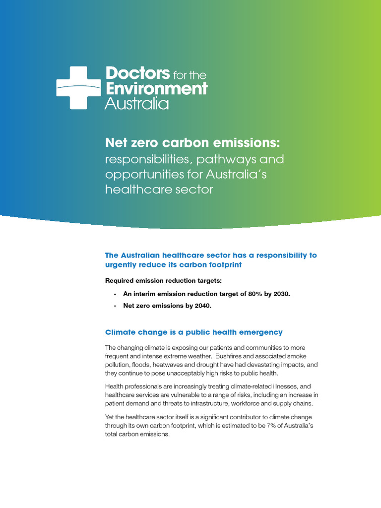 DEA-Net-Zero-report_v11 | PDF | Climate Change Mitigation | Renewable ...