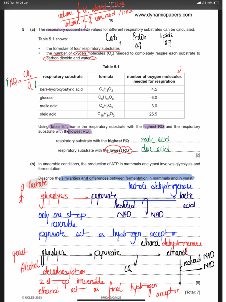 Note 26 Jan 2024 | PDF | Adenosine Triphosphate | Cellular Respiration