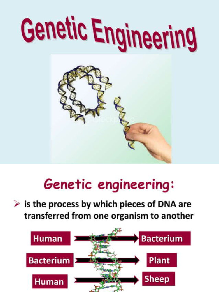 Genetic Engineering 13933607 | PDF