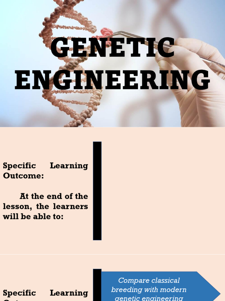 BIO2 Genetic Engineering 1 | PDF | Plasmid | Molecular Cloning