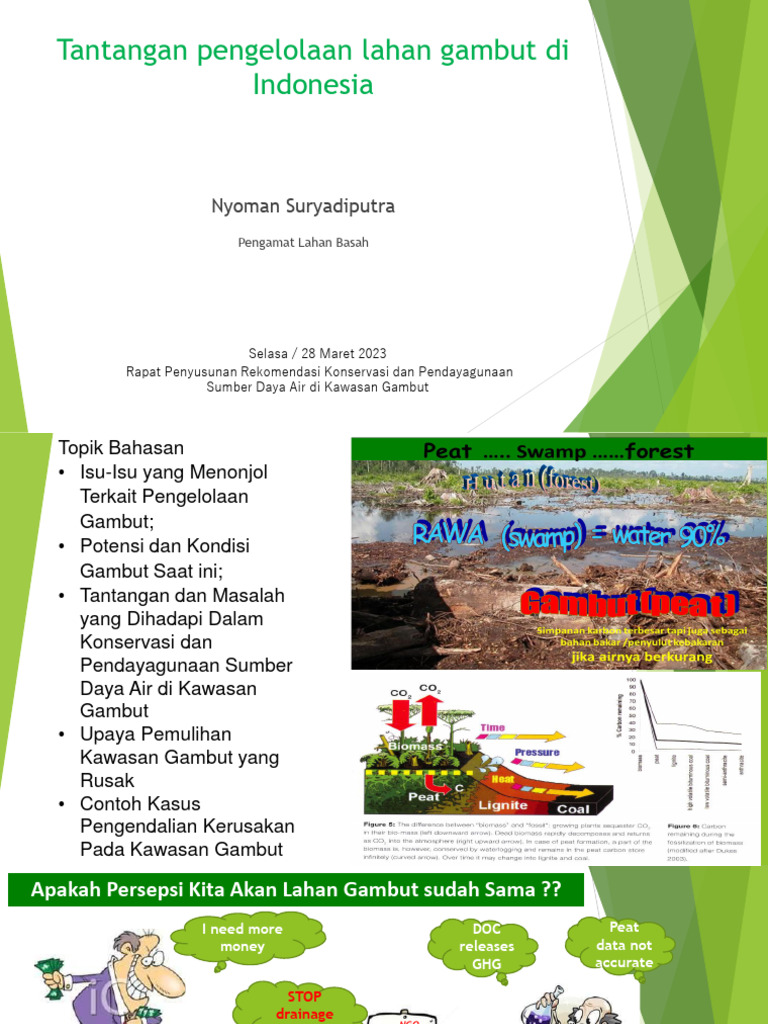 Tantangan Pengelolaan Lahan Gambut Indonesia | PDF