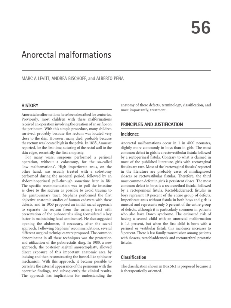 Anorectal Malformations Overview | PDF | Rectum | Large Intestine
