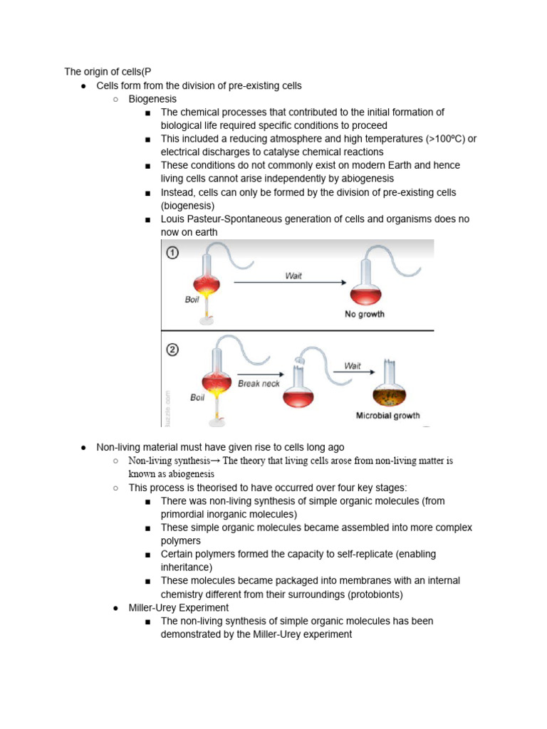 IB Biology - The Origin of Cells | PDF | Cell (Biology) | Ribosome