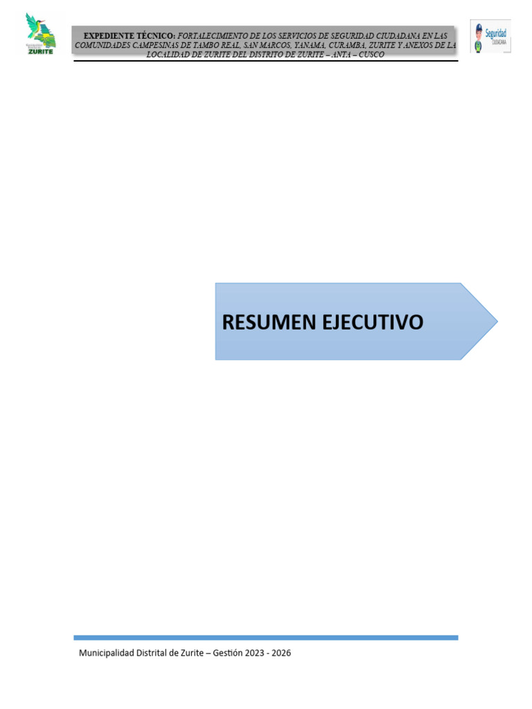 Resumen Ejecutivo | PDF