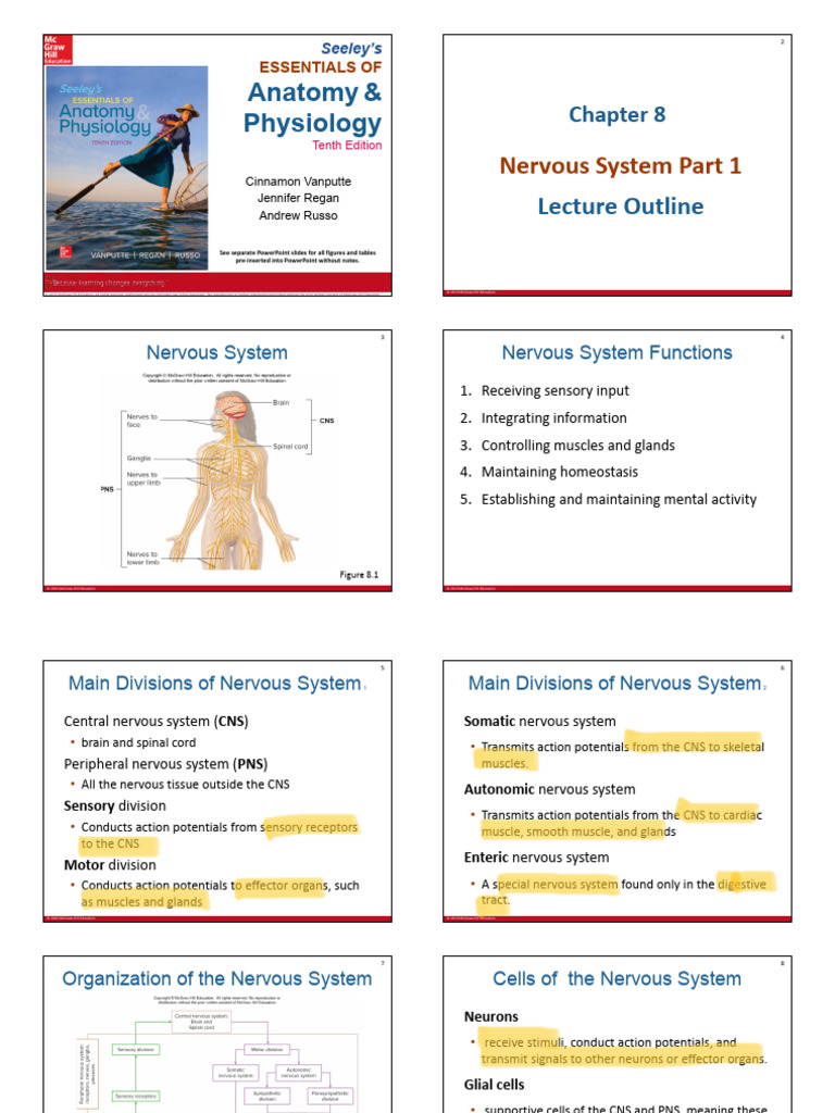 Nervous System Intro | PDF | Chemical Synapse | Myelin