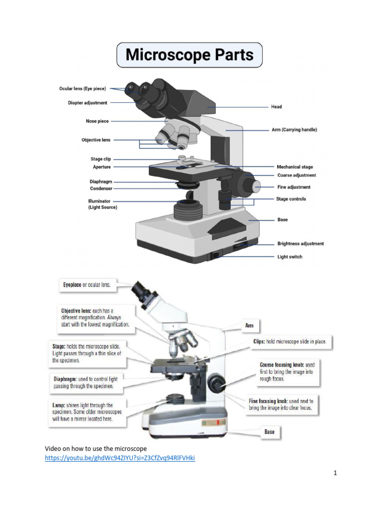SCI1001 Lab 7 Microscope Sem I 2023 | PDF | Microscope | Optics