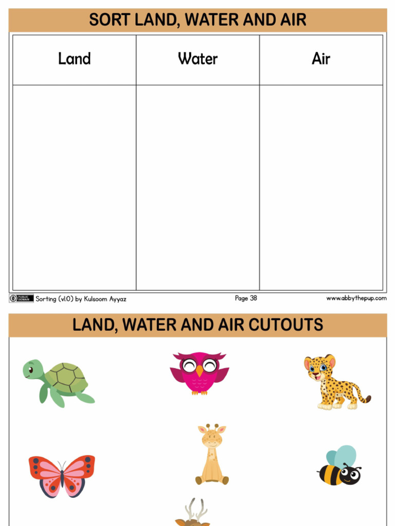 Sorting Land Water and Air Puzzle Games | PDF