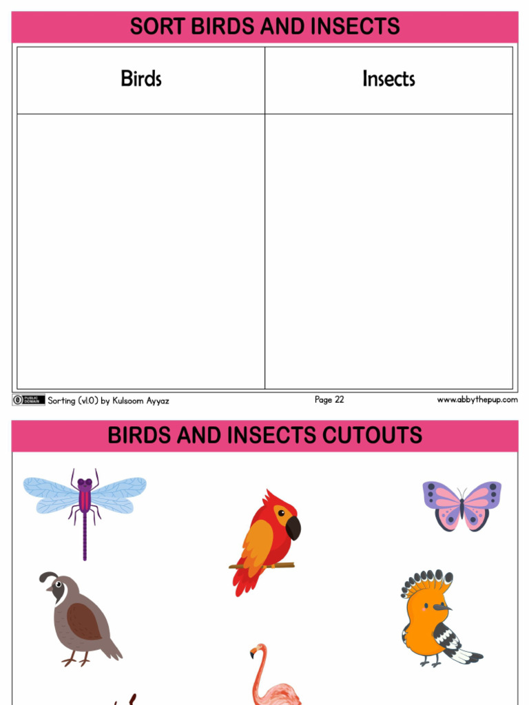 Sorting Birds and Insects Puzzle Games | PDF