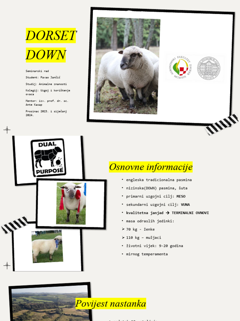 Dorset Down | PDF