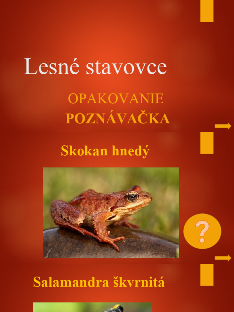 Lesné Stavovce-Poznávačka | PDF