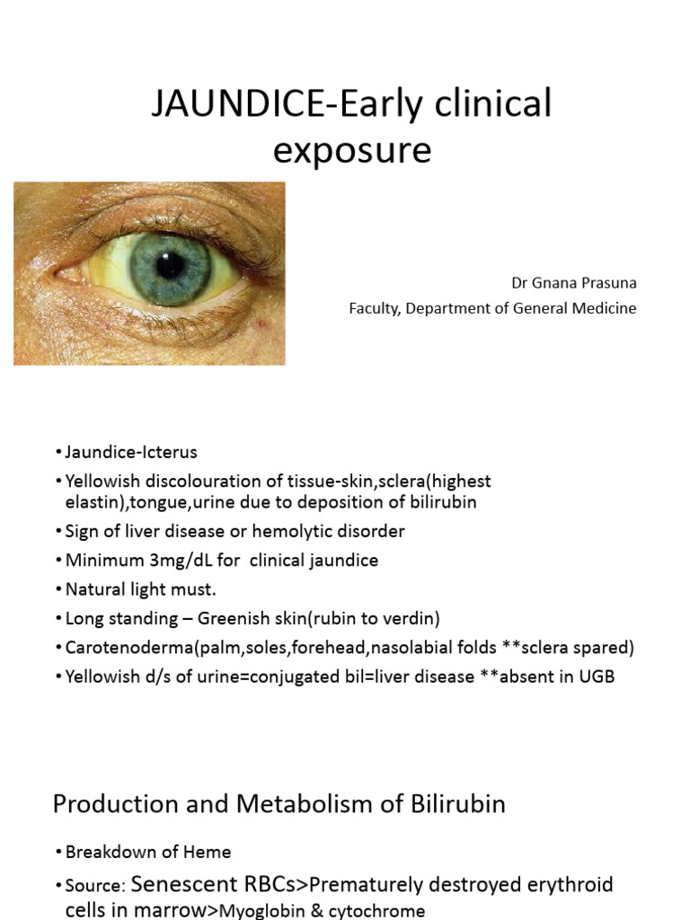 Clinical Features of Jaundice | PDF | Abdomen | Anatomy
