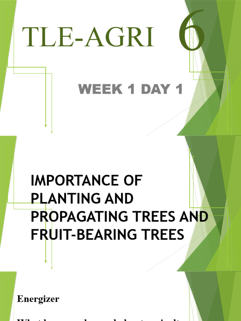 Benefits of Planting Fruit Trees | PDF | Trees | Plants
