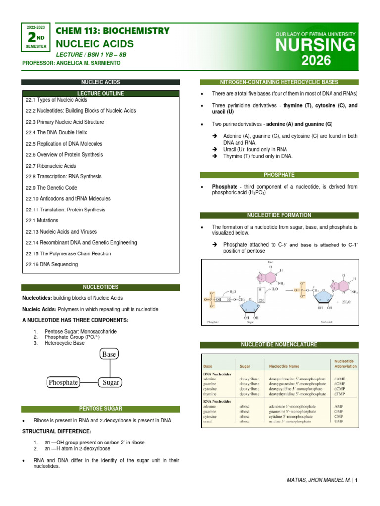 Nucleic Acids | PDF | Dna | Nucleic Acids
