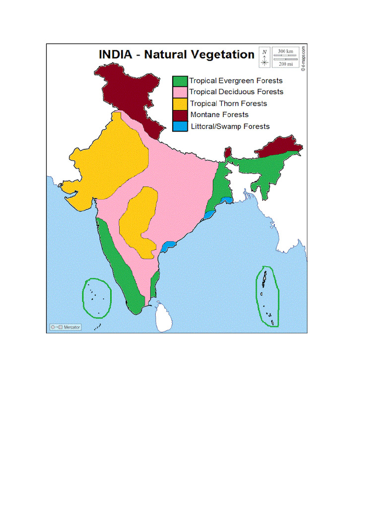 NATURAL VEGETATION MAP WORK' (1) | PDF