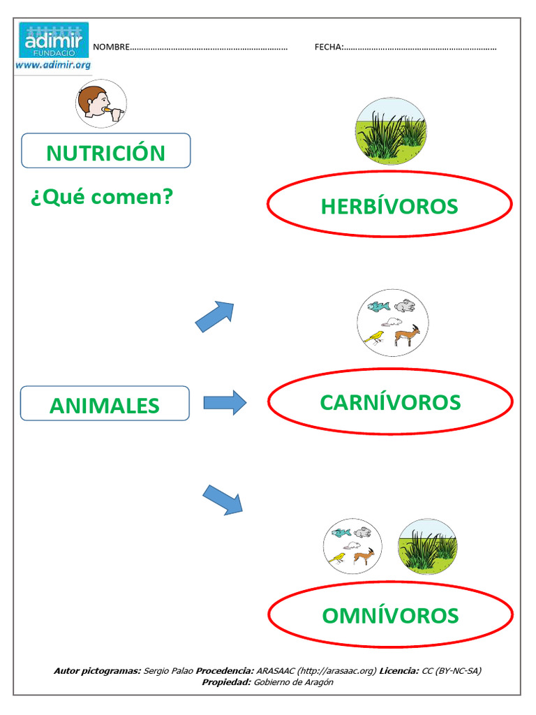 Ficha Seres Vivos Castellano | PDF | Organismos