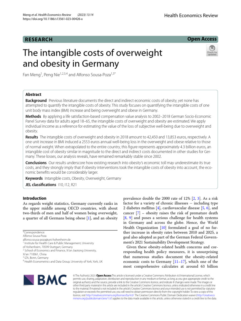 The Intangible Costs of Overweight and Obesity in Germany | PDF ...