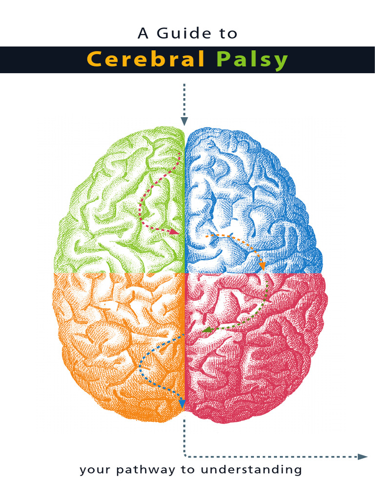 A Guide To Cerebral Palsy - Original | PDF | Cerebral Palsy | Childbirth
