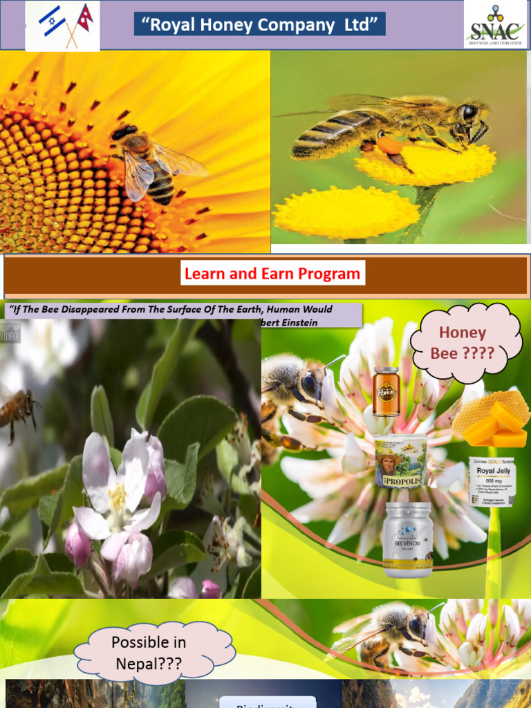Honeybee Project Work | PDF | Beehive | Honey