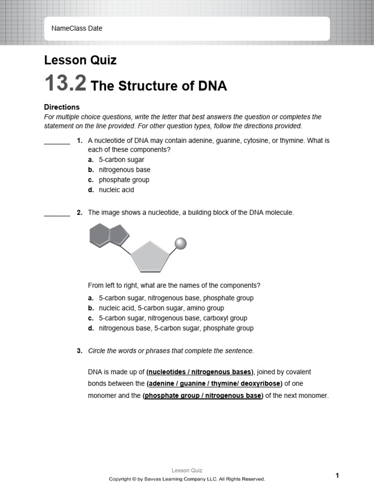 Bio Ch13 l02 Quiz | PDF | Dna | Nucleic Acids