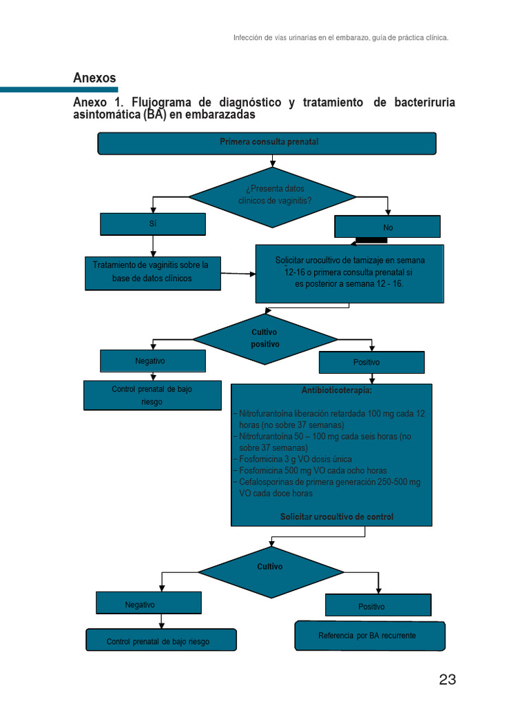 GPC Medicamentos Ivu | PDF | Infección del tracto urinario | Medicina ...