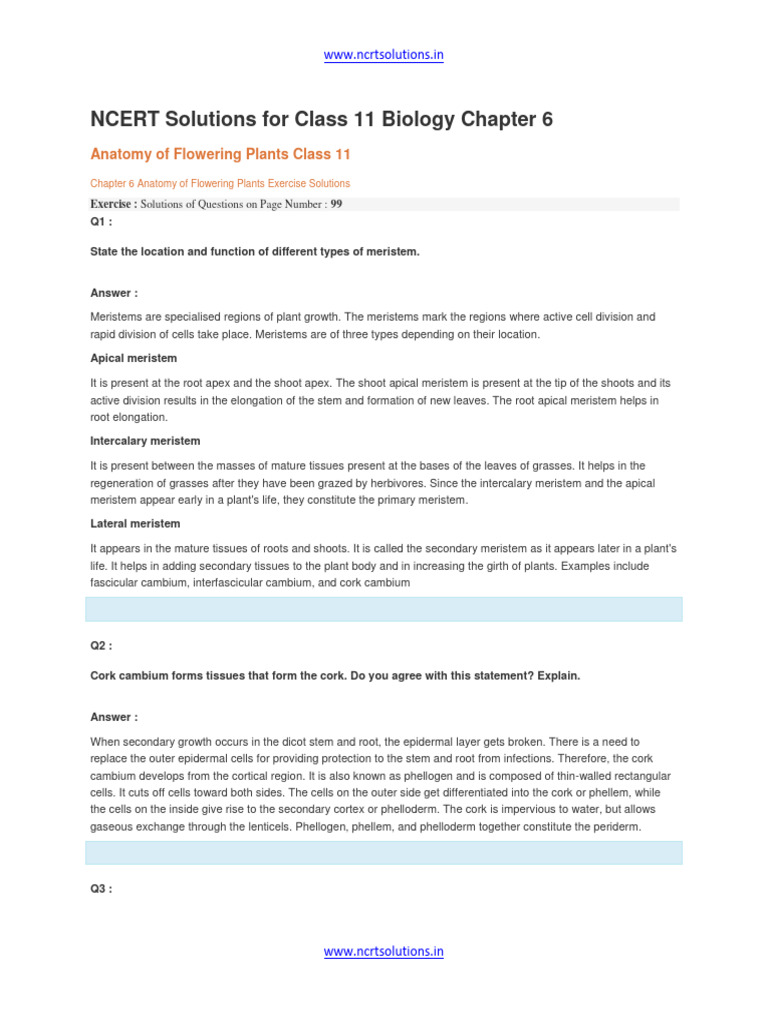 Chapter 6 Anatomy of Flowering Plants | PDF | Plant Stem | Tissue (Biology)
