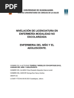 Modelos y Teorías de Enfermería - Lydia Hall | PDF | Enfermería | Medicina